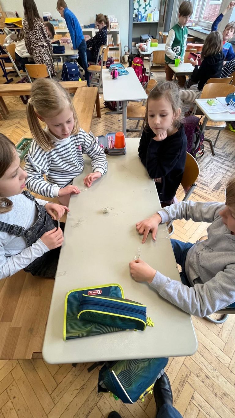 Thema „Wiese“ im Sachunterricht – Grundschule an der Burg